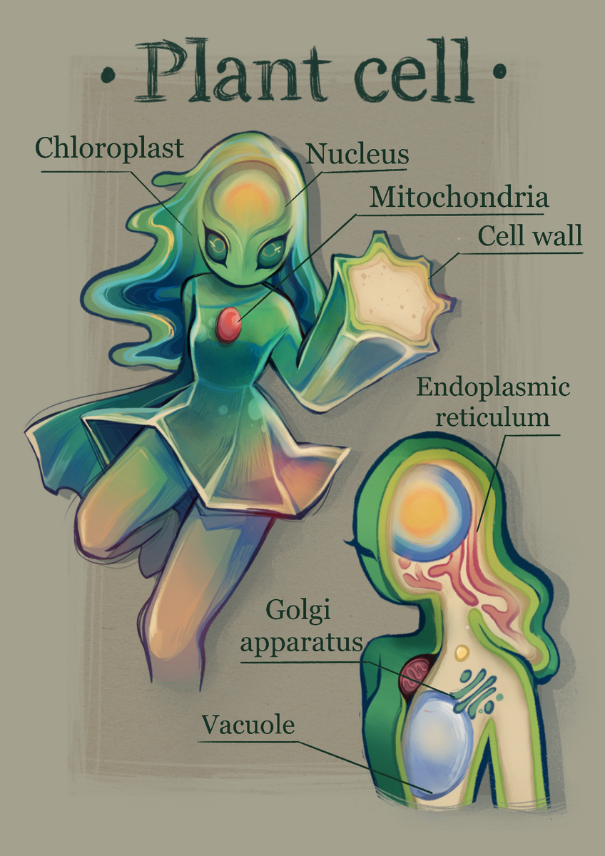 Plant Cell Print – Feefal